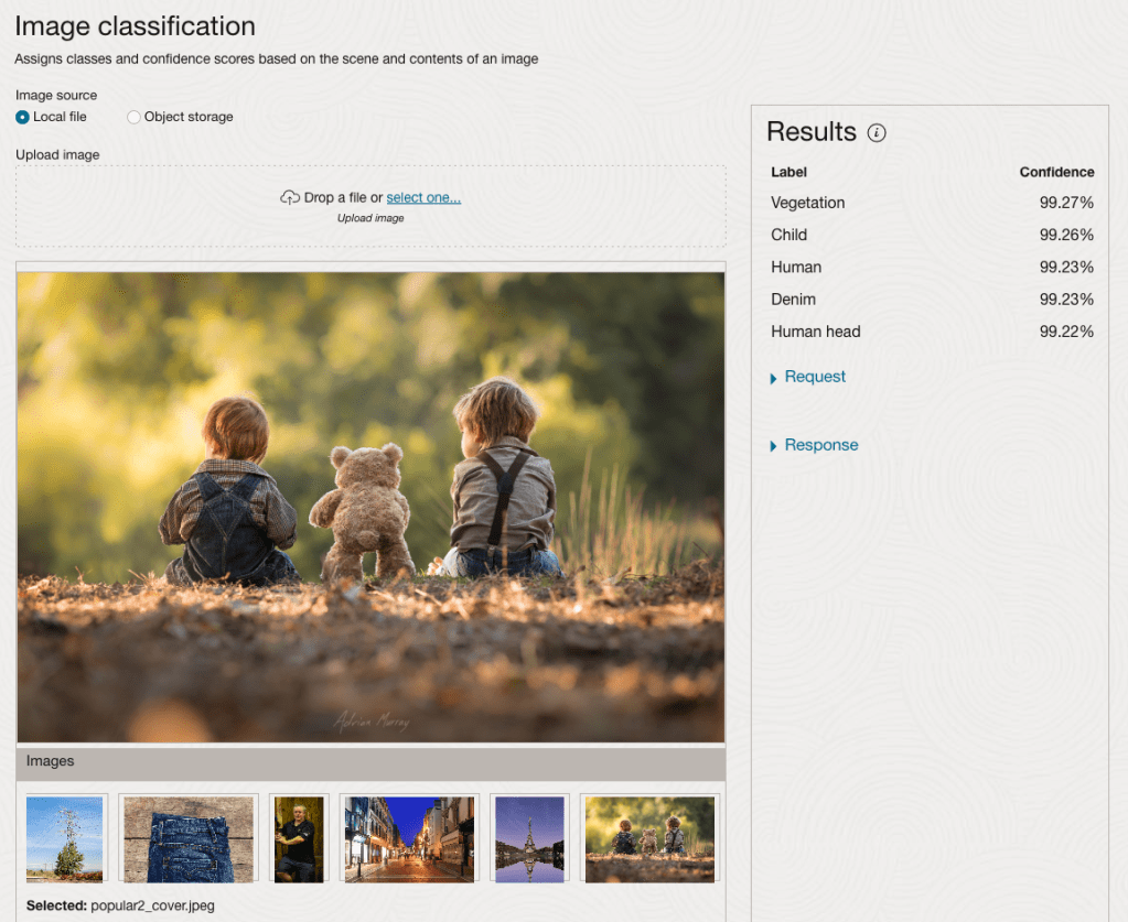 OCI:Vision – AI for image processing – the Basics « Ora-lytics